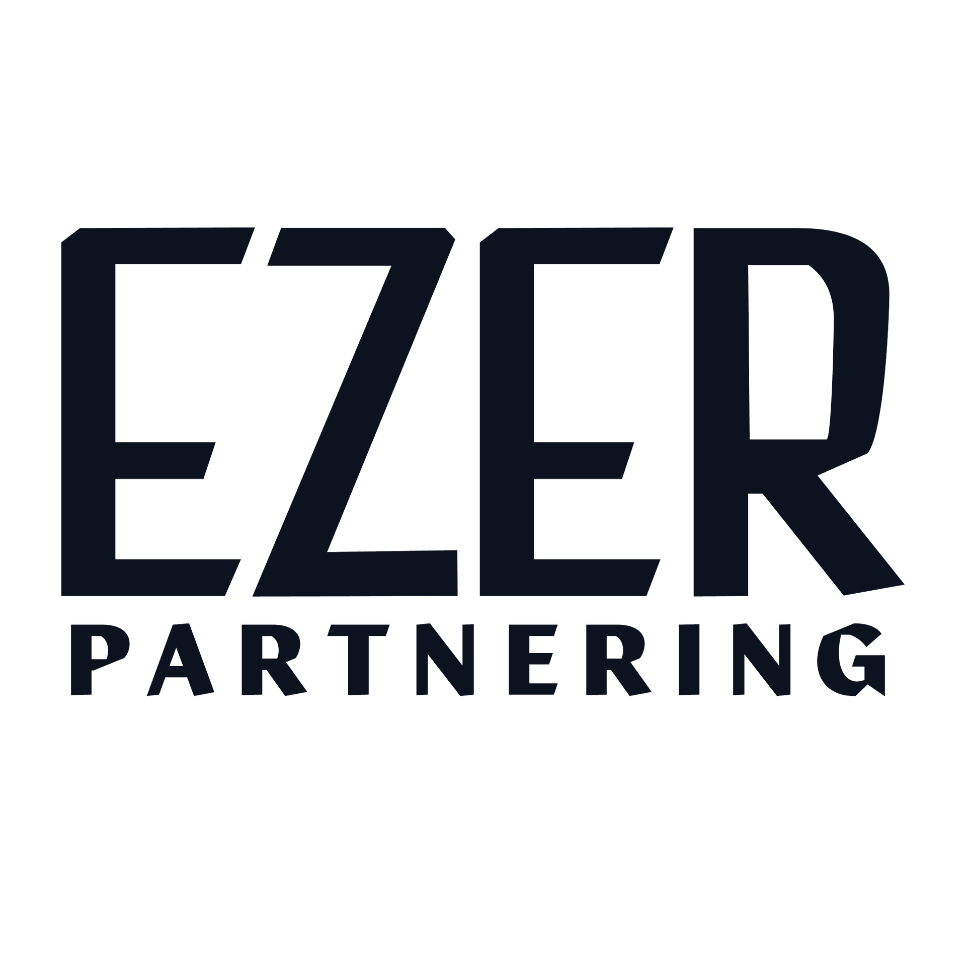 Home | Ezer Partnering